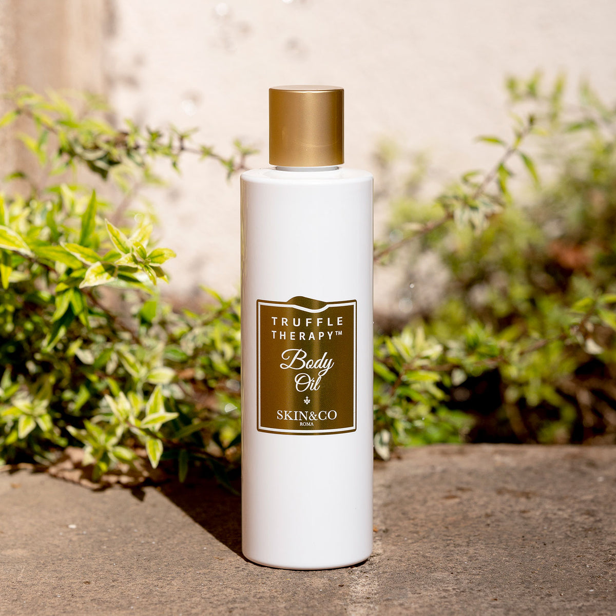 Truffle Therapy Ultra-Rich Body Oil: Mediterranean-Inspired Hydration ...